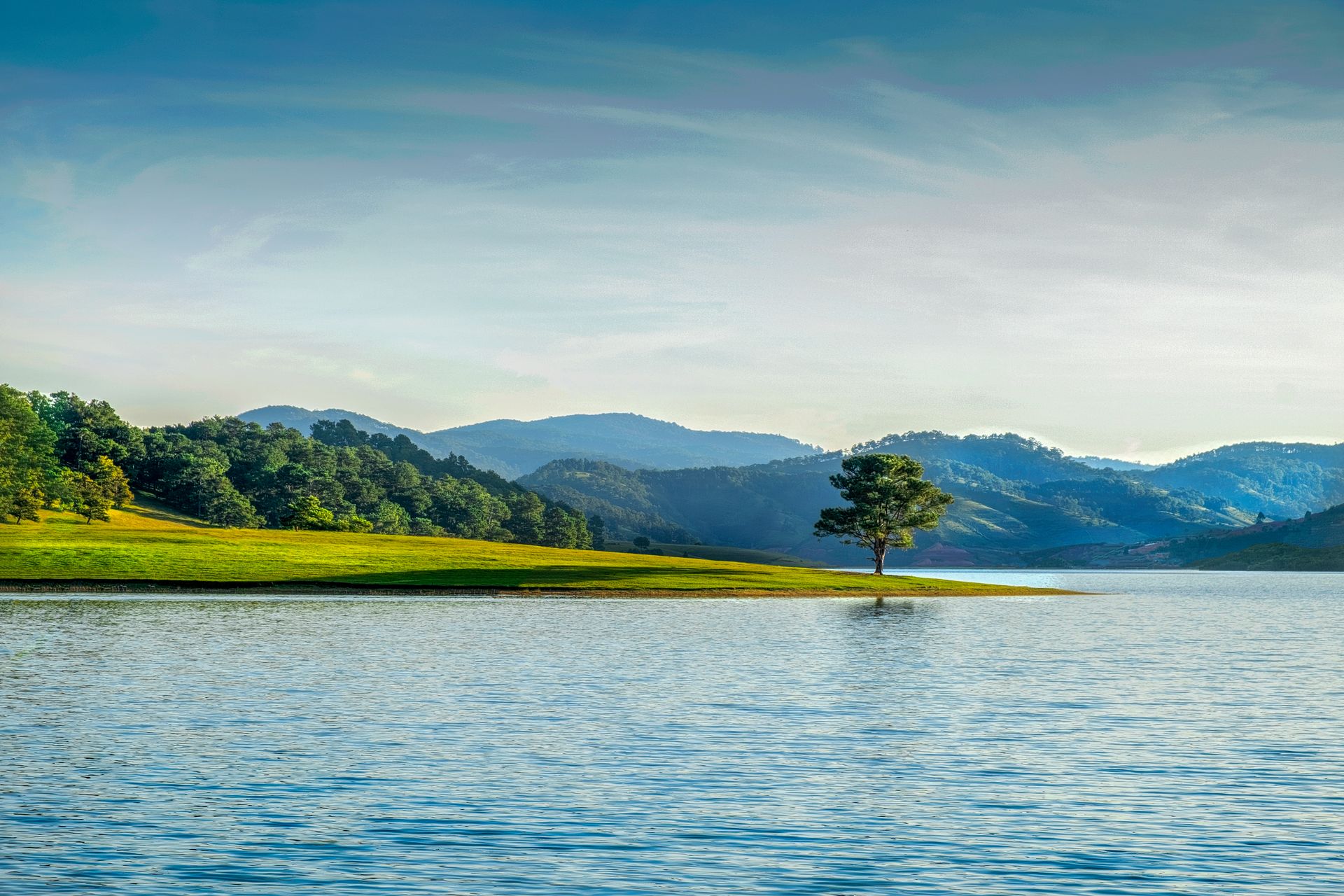 Visite immersive de Dalat : entre nature et fantaisie