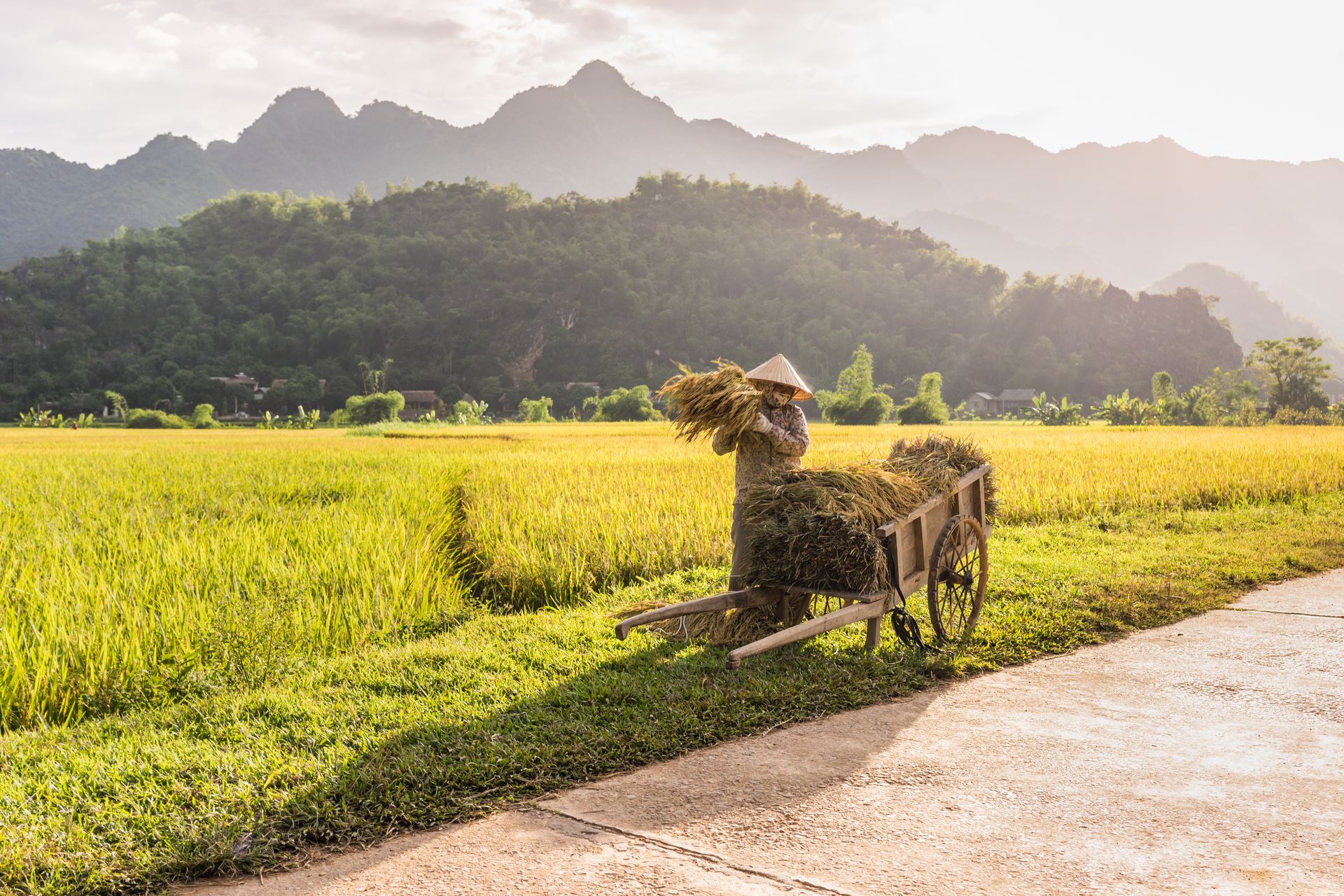 Pu Luong & Moc Chau & Mu Cang Chai - Senteurs du Vietnam