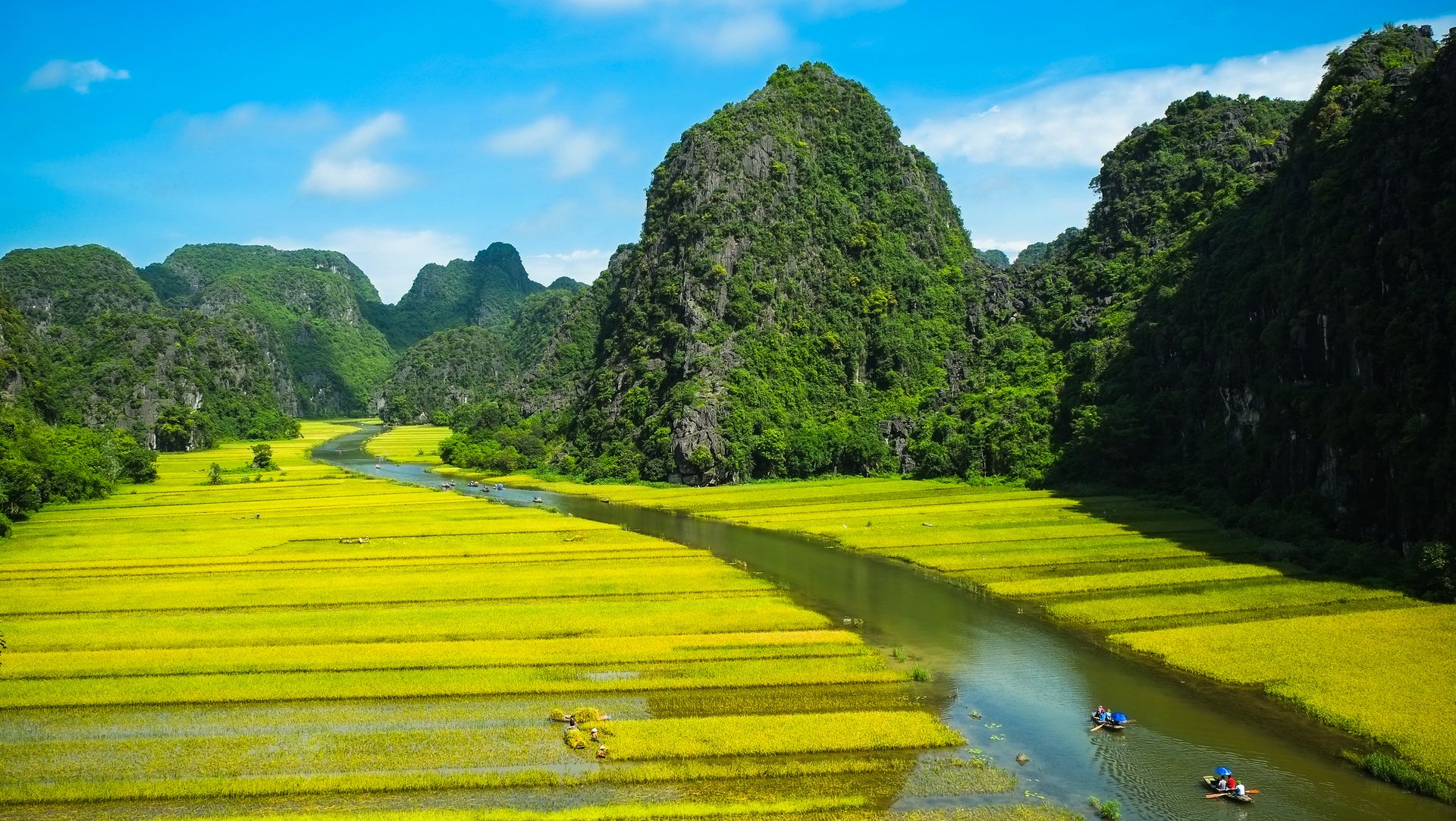 Bicycle ride in Tam Coc - Explore the rice fields